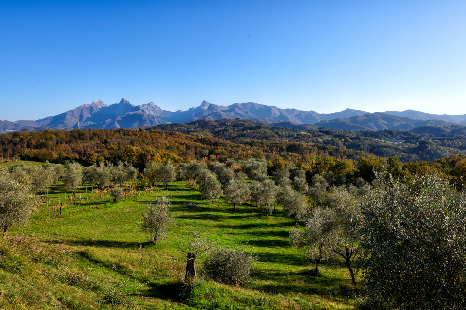 Ex-Convento Madonna dei Colli & the Via del Volto Santo - angellightphoto